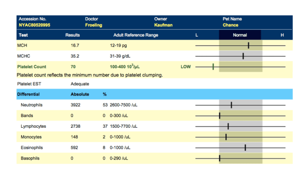 How To Read Equine (Horse and donkey) Blood Work? | The Chances We Take