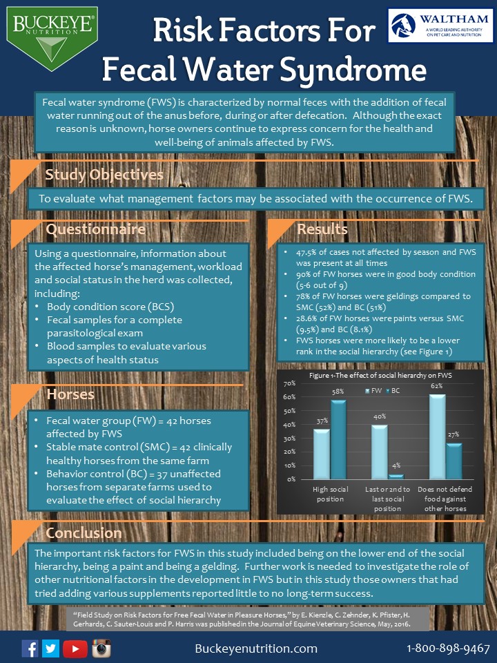 Fecal Water Syndrome | The Chances We Take